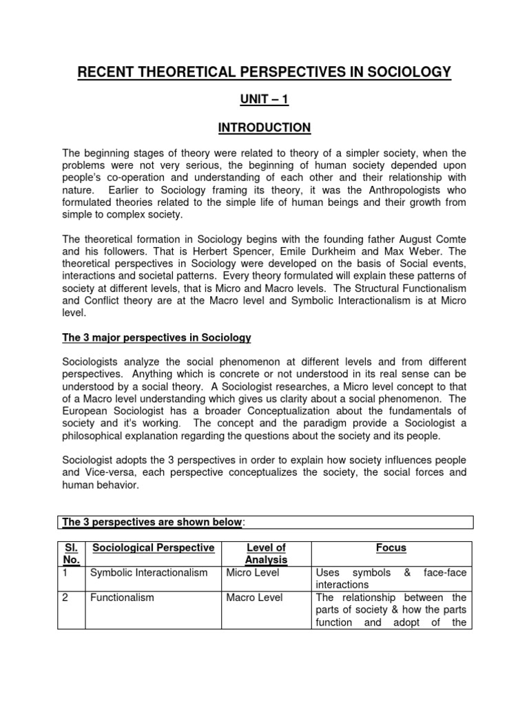 Theoretical Perspectives in Sociology | PDF
