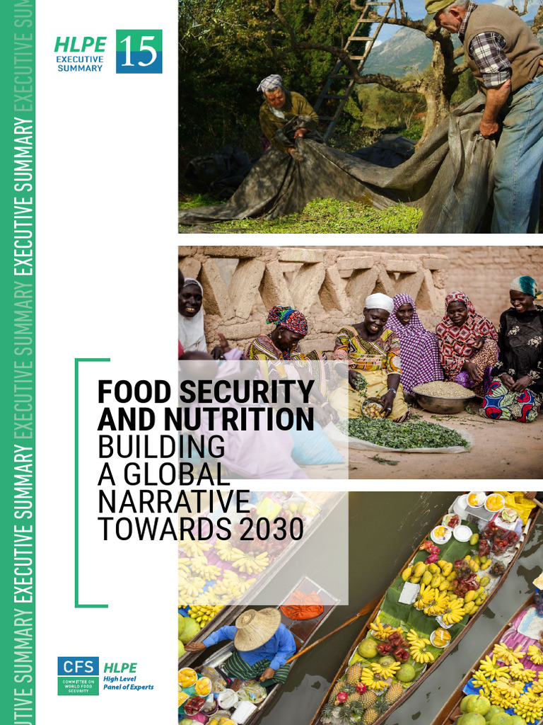 Food Security and Nutrition Building A Global Narrative Towards 2030 ...