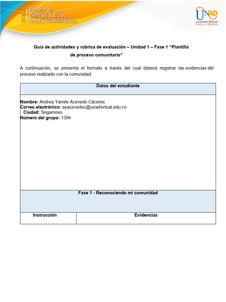 Anexo 1 - Plantilla Del Proceso Comunitario | PDF