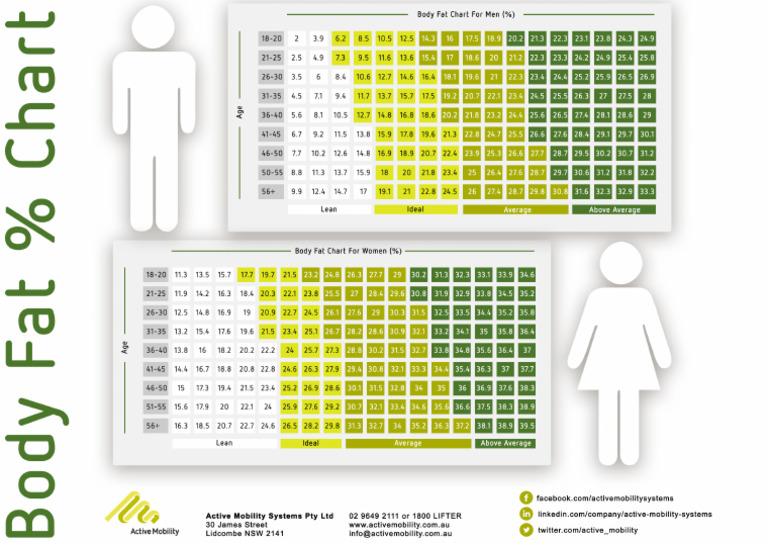 Body Fat Chart | PDF