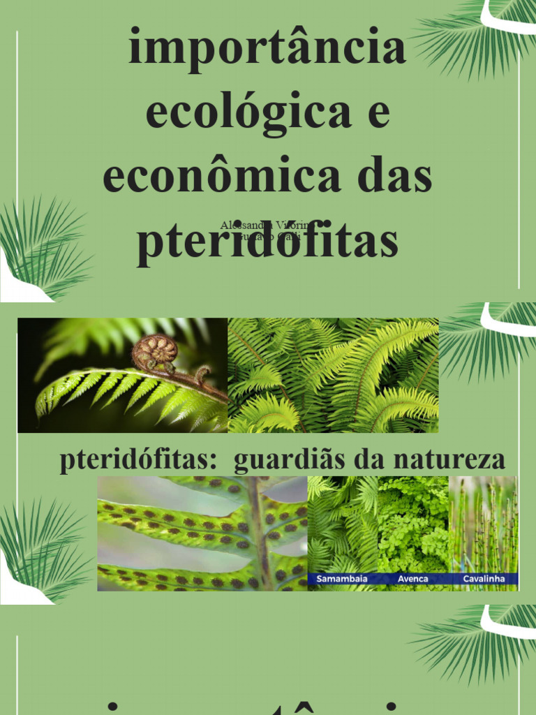 Importância das Pteridófitas na Ecologia | PDF | Habitat | Biodiversidade
