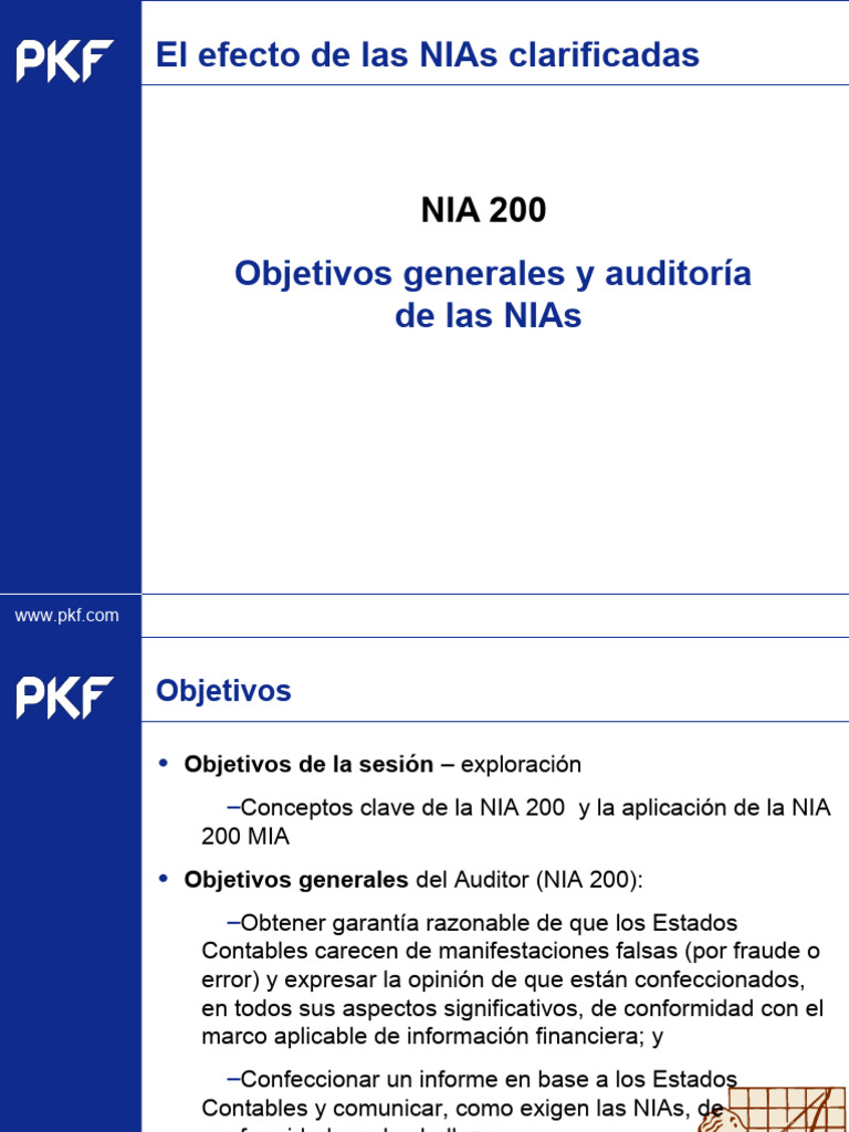 Nia 200 | PDF | Auditoría | Contralor