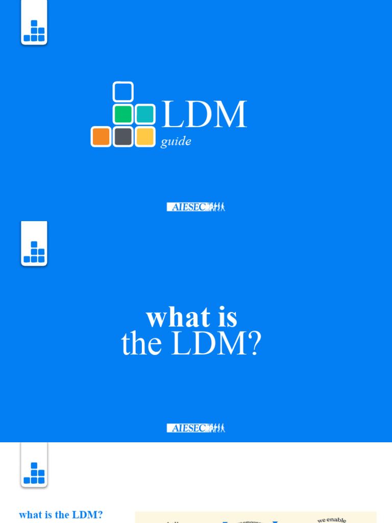 AIESEC Leadership Development Model Guide | PDF | Leadership | Goal