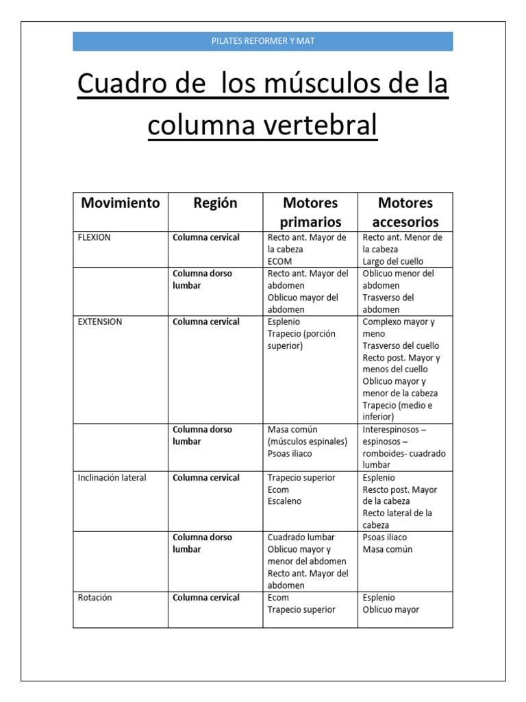 Cuadro de Los Músculos de La Columna Vertebral: Movimiento Región Motores Primarios Motores ...