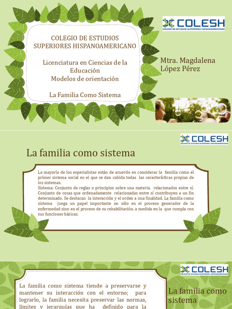 La Familia Como Sistema 24 | PDF