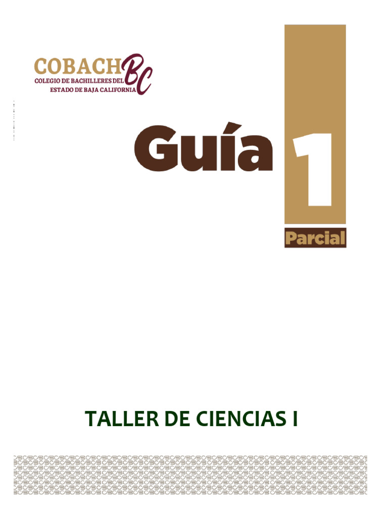 Guía de Estudio Primer Parcial - Taller de Ciencias I | PDF | Moléculas | Enlace químico