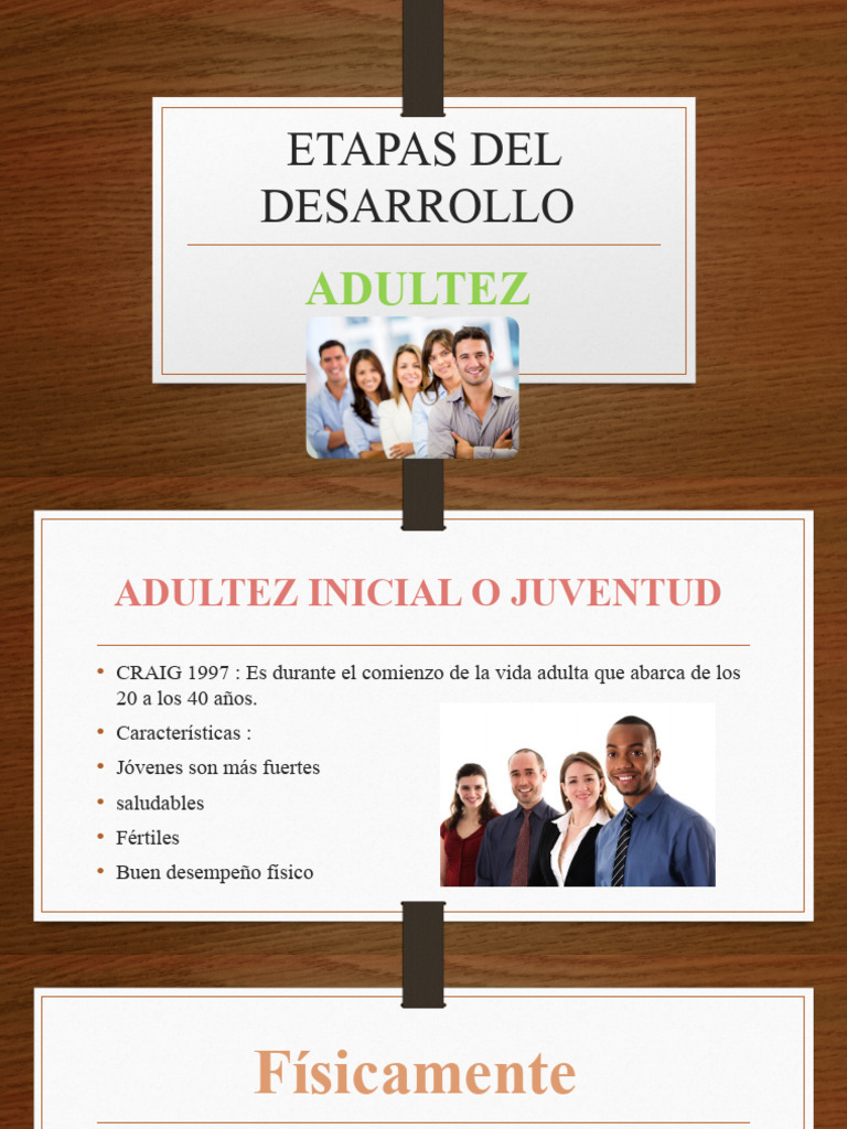 Etapas Del Desarrollo Adultez | PDF
