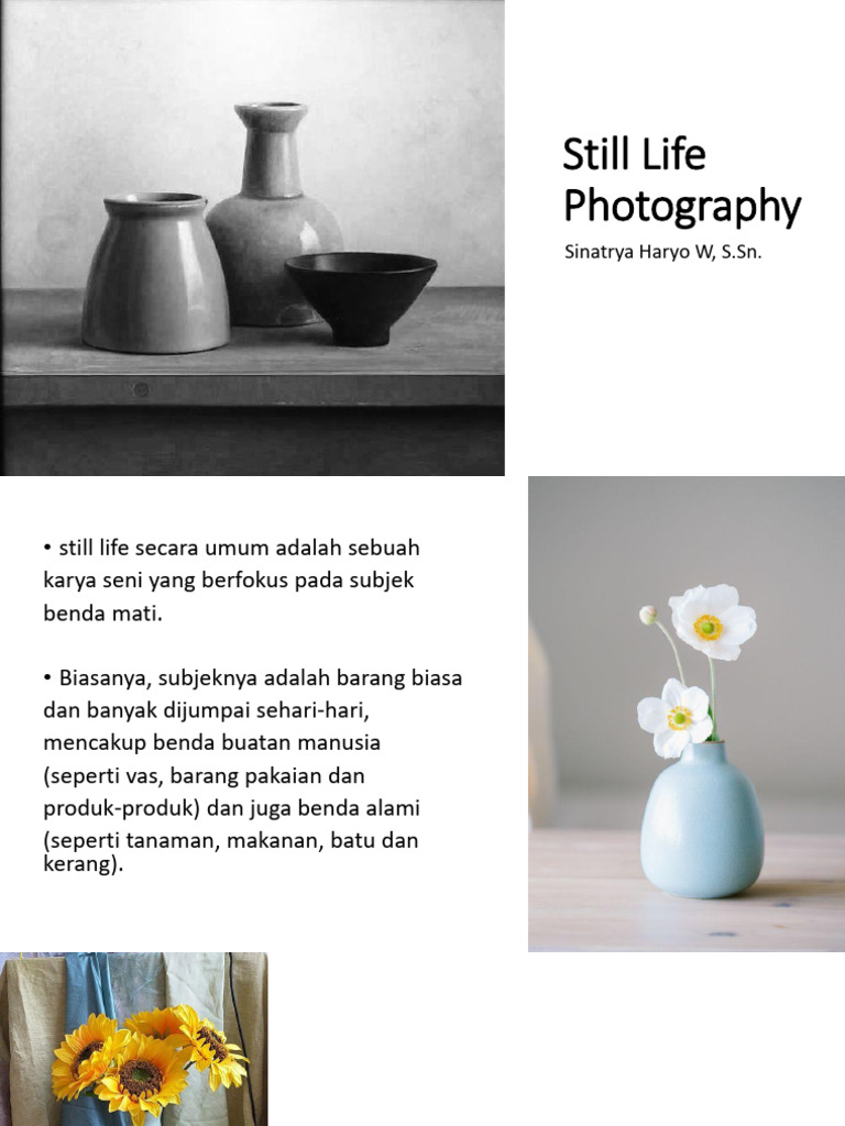 Panduan Fotografi Still Life | PDF