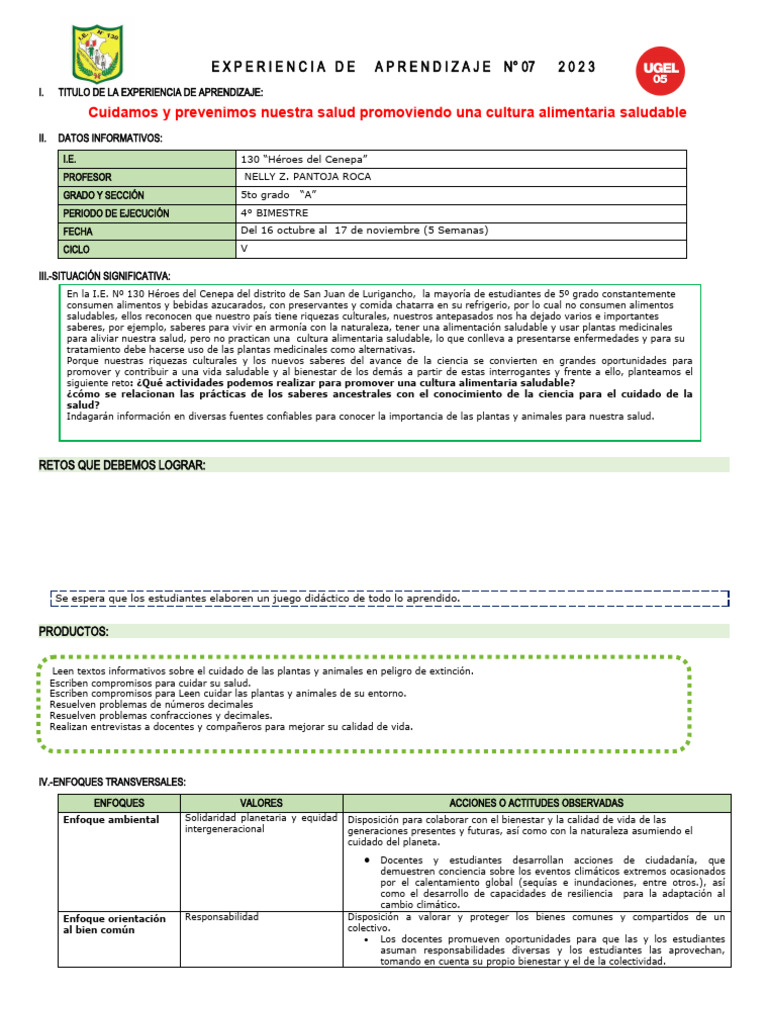 Experiencia - de - Aprendizaje - N°07 Nuevo | PDF