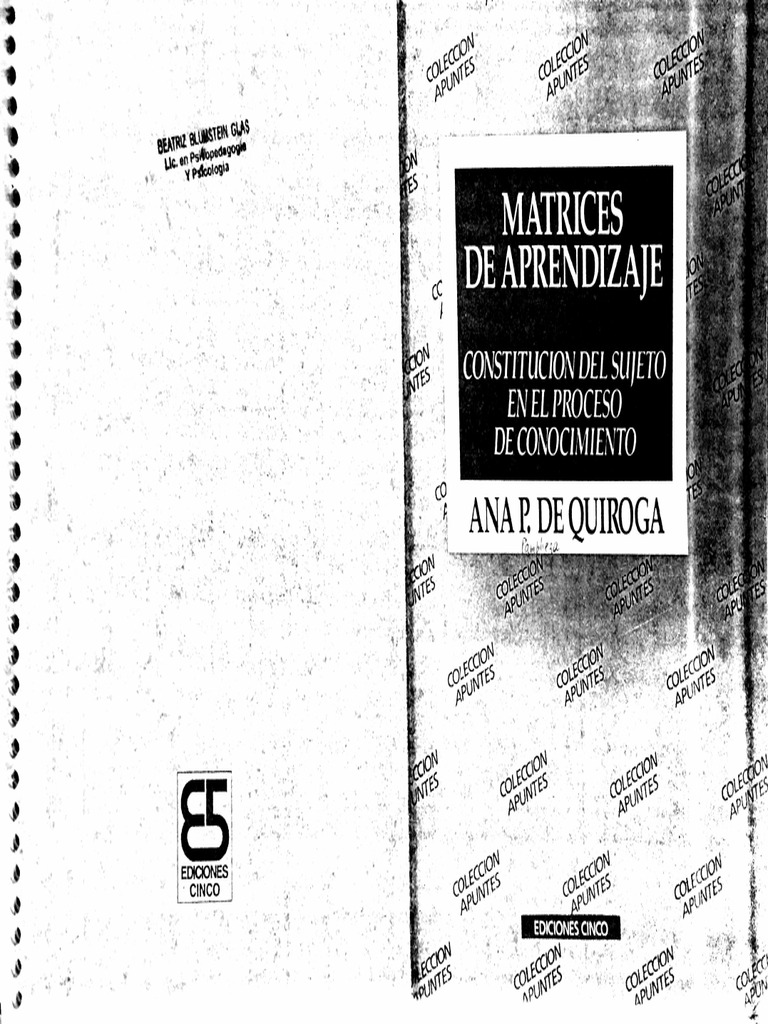 matrices-de-aprendizaje-ana-quiroga-pdf