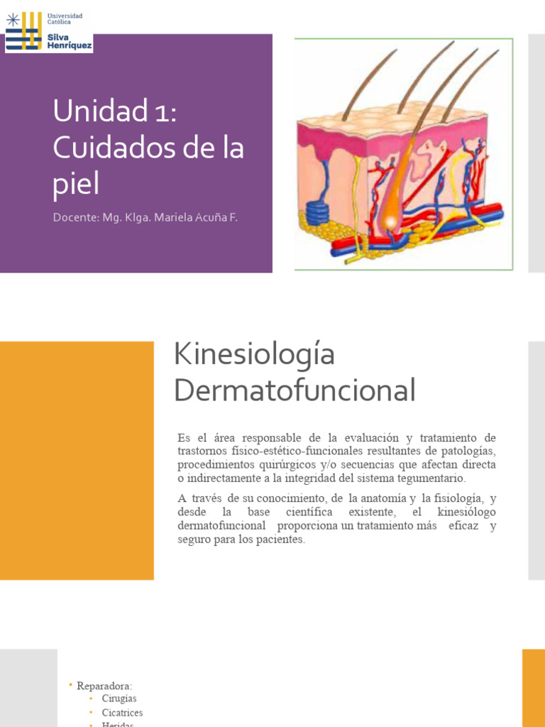 Cuidados de La Piel | PDF | Piel | Epidermis