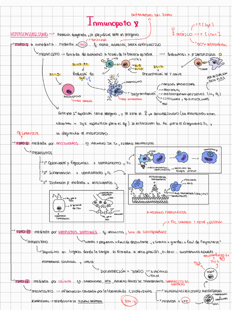 Apunte Neoplasias | PDF Apunte Neoplasias | PDF