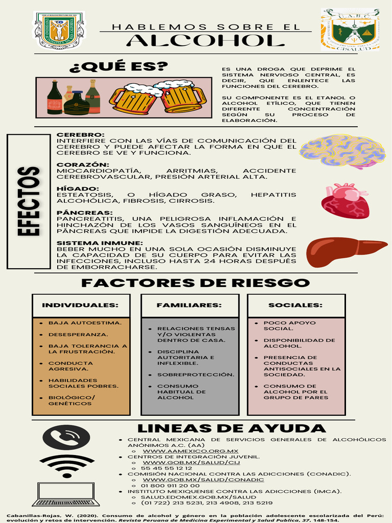 Infografía Consumo de Alcohol | PDF