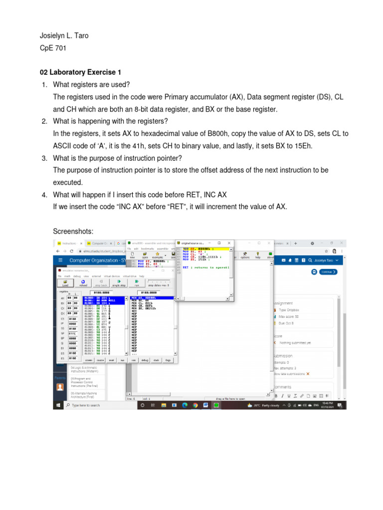 02 Laboratory Exercise 1_Taro | PDF