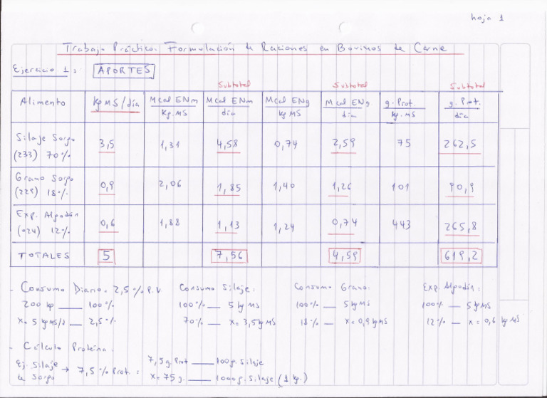 TP Form Carne Ejerc 1 Pag 1 | PDF