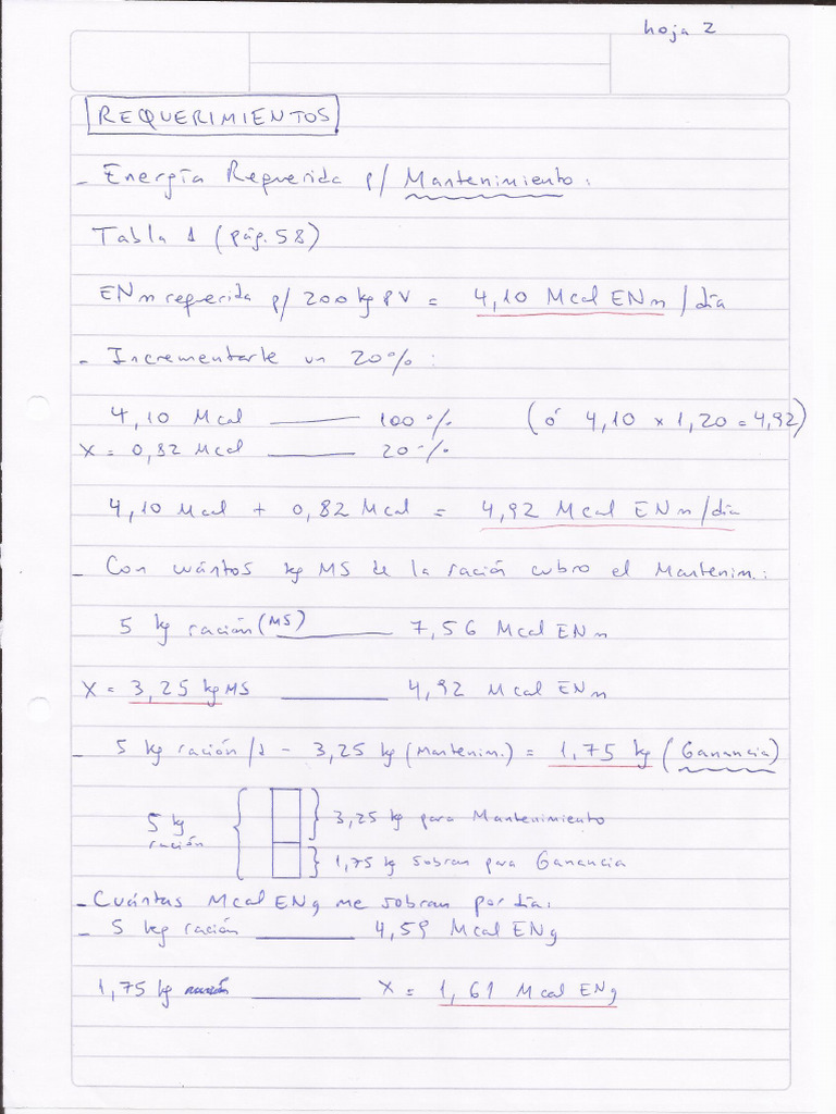 TP Form Carne Ejerc 1 Pag 2 | PDF