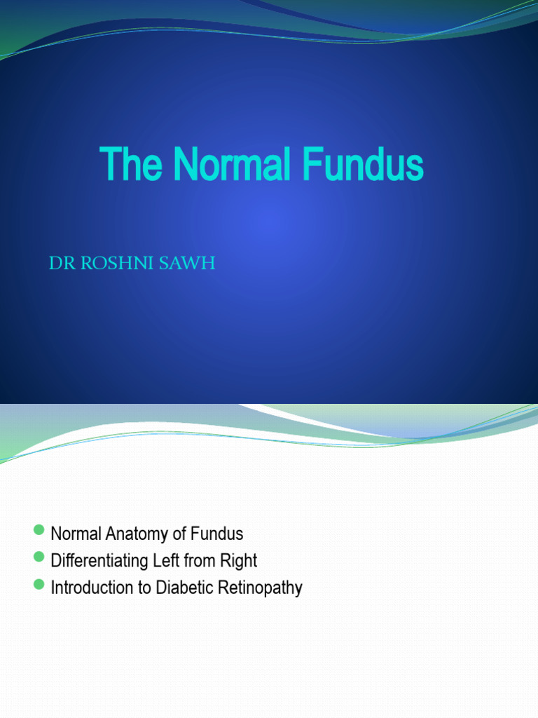 Introduction To Fundus | PDF | Retina | Vision