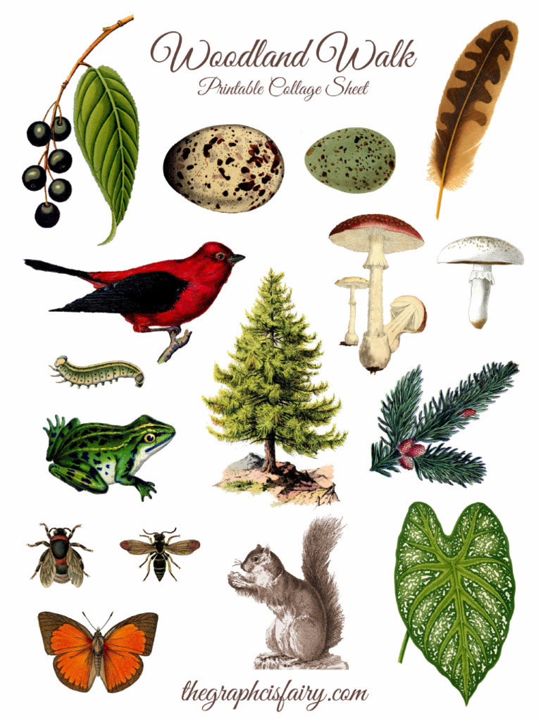Free Fall Printable Collage Sheet GraphicsFairy | PDF