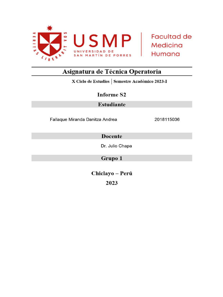 Informe S2 - Top - Fallaque Miranda Danitza | PDF