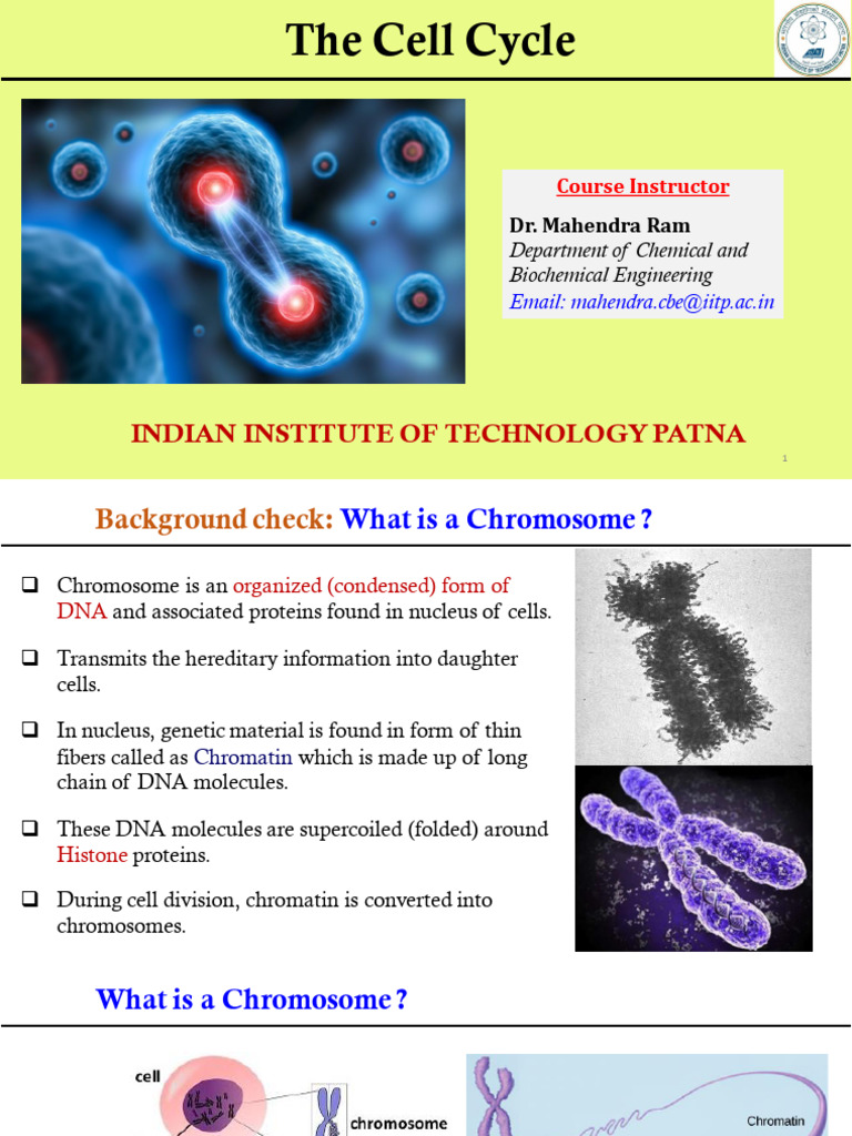 Cell Cycle | PDF | Mitosis | Meiosis