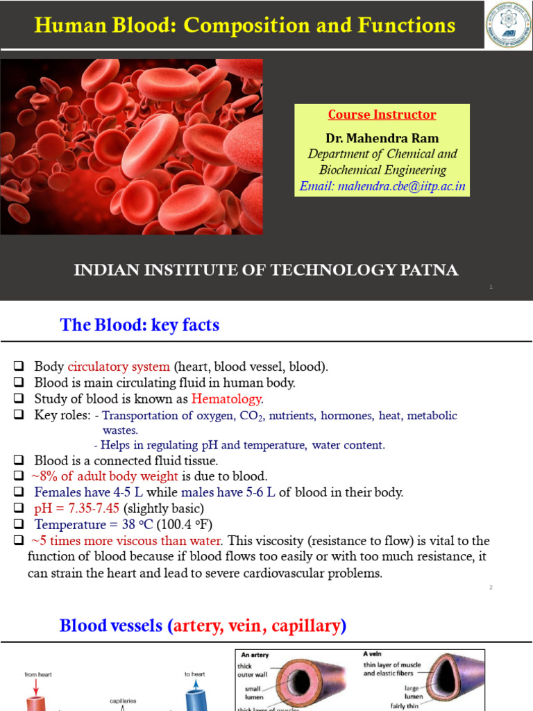 Human Blood | PDF | Blood Type | White Blood Cell