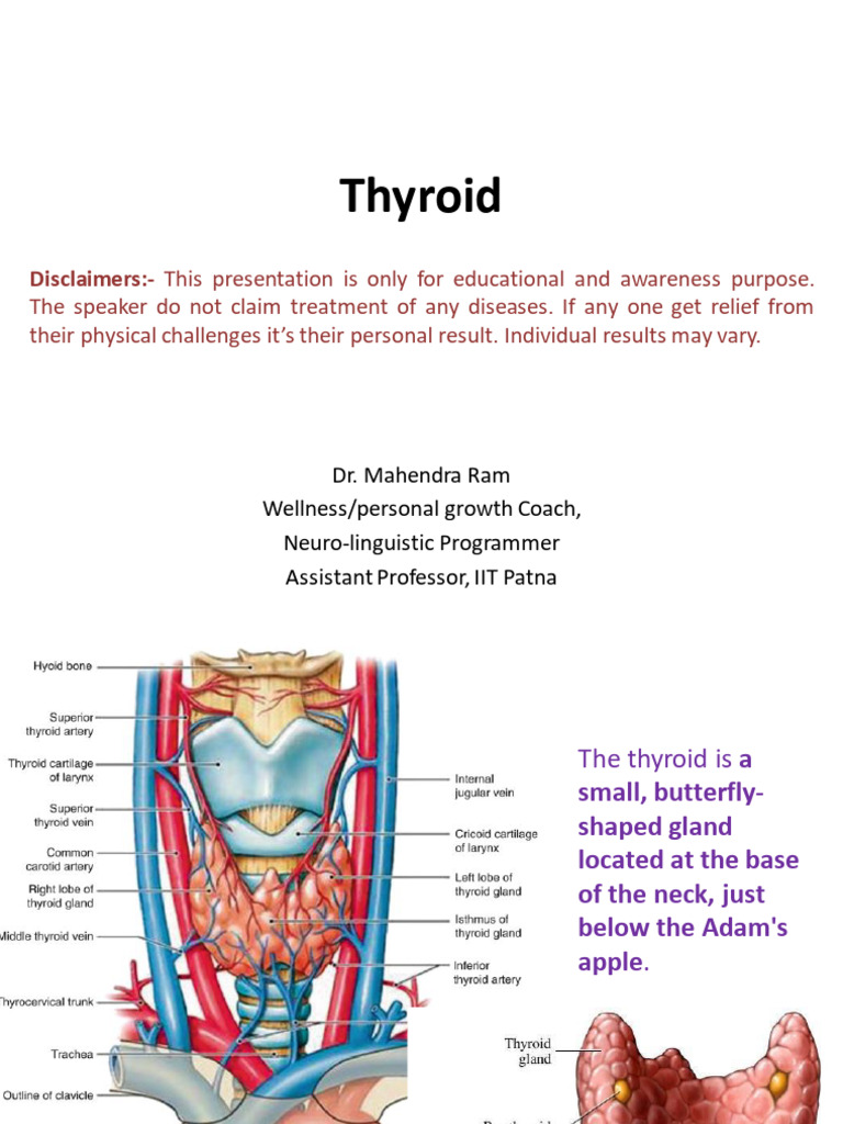 Thyroid | PDF | Thyroid | Hyperthyroidism