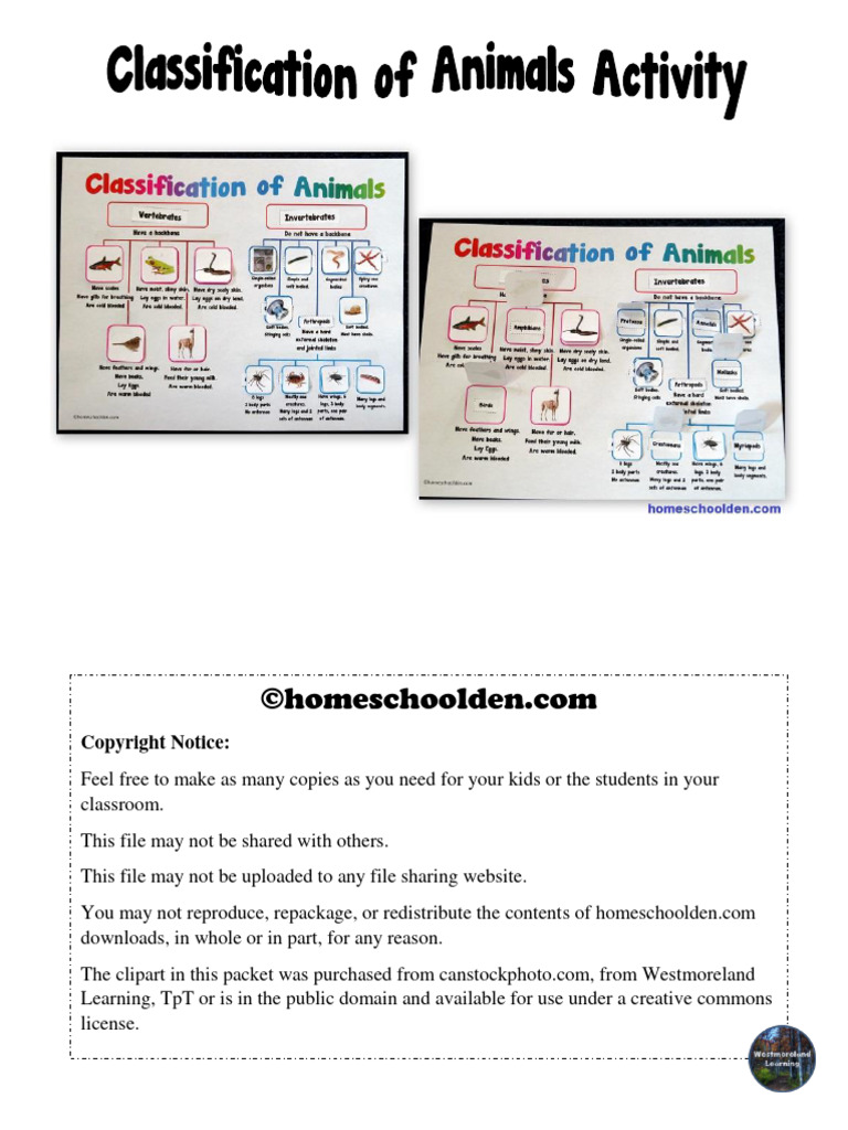 Animal Classification Activity - For Younger Students | PDF | Egg ...