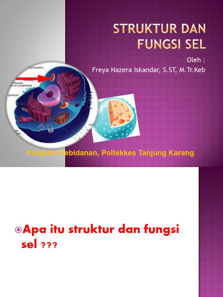 Pertemuan1_STRUKTUR DAN FUNGSI SEL | PDF