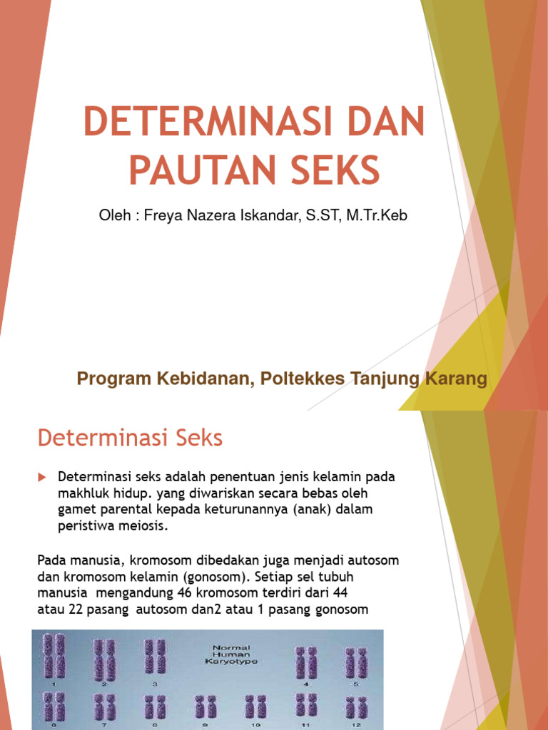 Determinasi dan Pautan Seks pada Genetik | PDF | Ilmu Sosial ...