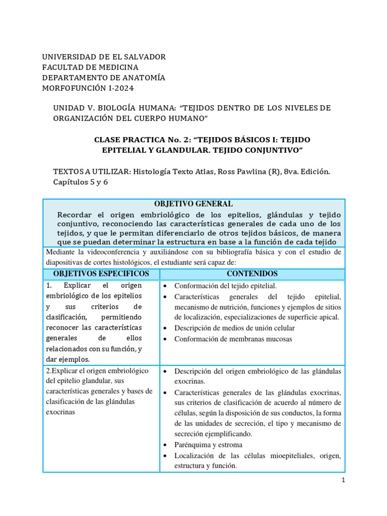Clase Nâ° 2 Tejido Epitelial y Conjuntivo. Morfo I. 2024 | PDF