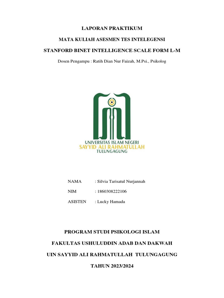 Laporan Tes Binet Silvi | PDF