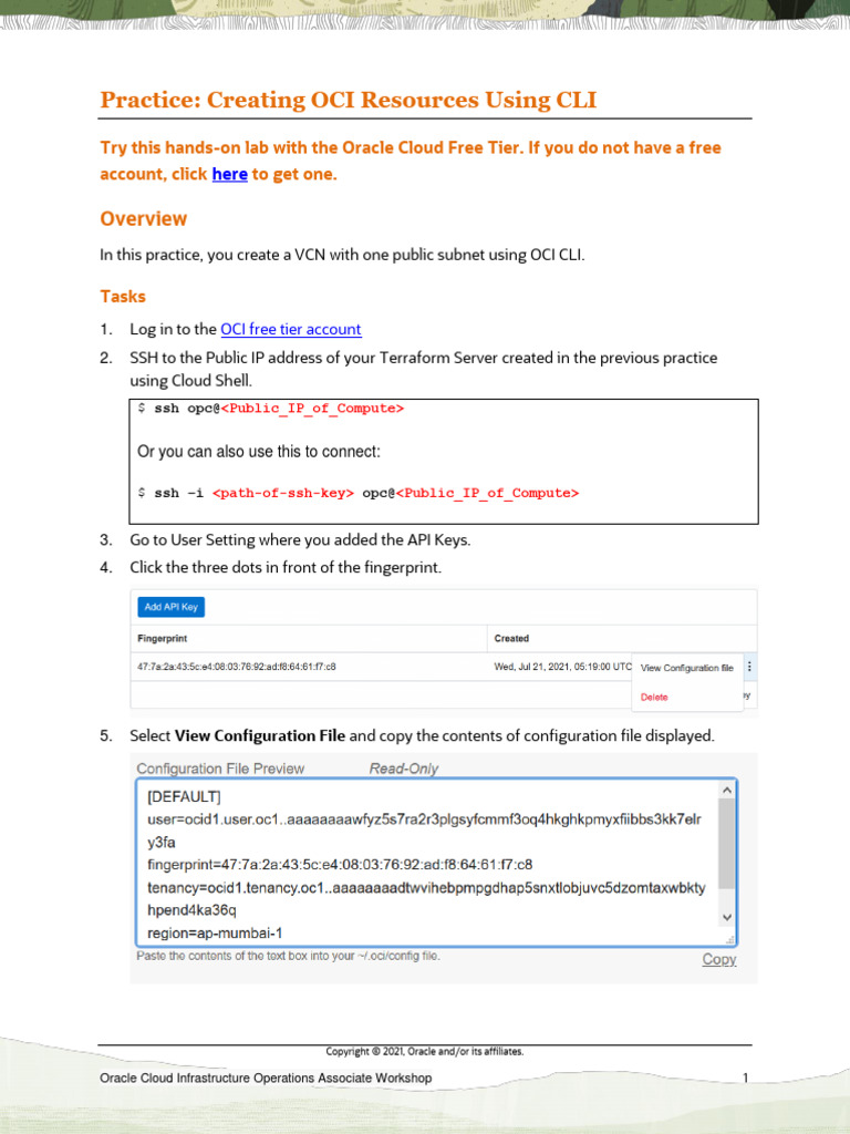 Ops CLI | PDF | Gateway (Telecommunications) | Command Line Interface