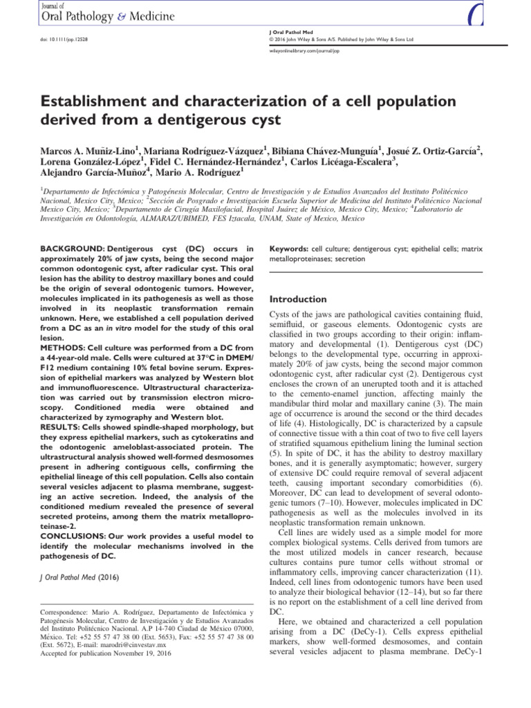 Cell Line from Dentigerous Cyst Established | PDF | Secretion | Epithelium