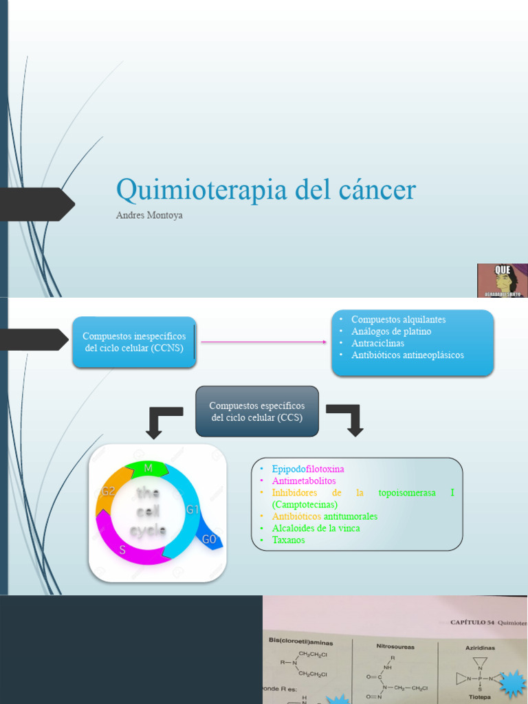 Tipos de Quimioterapia en Cáncer | PDF | Bioquímica | Química