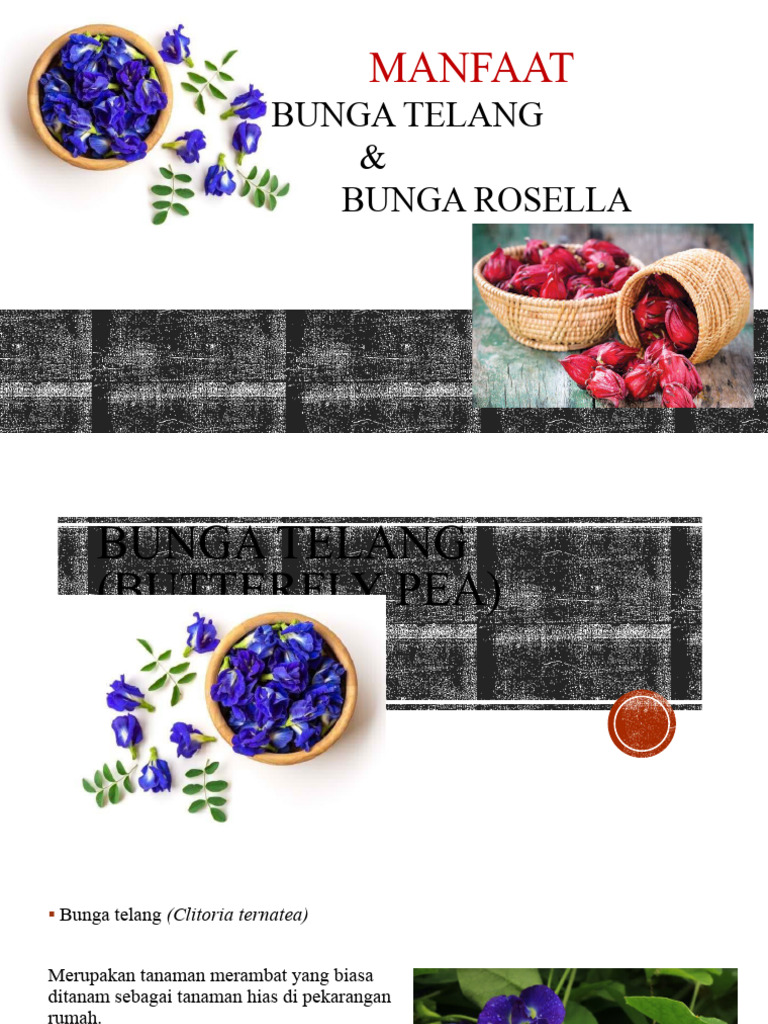 Bunga Telang & Bunga Rosella | PDF | Kesehatan Holistik