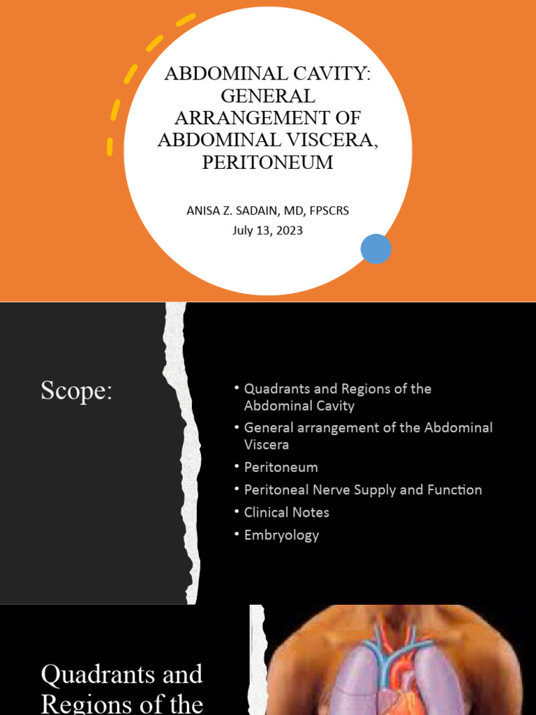 Abdominal Cavity | PDF | Peritoneum | Abdomen
