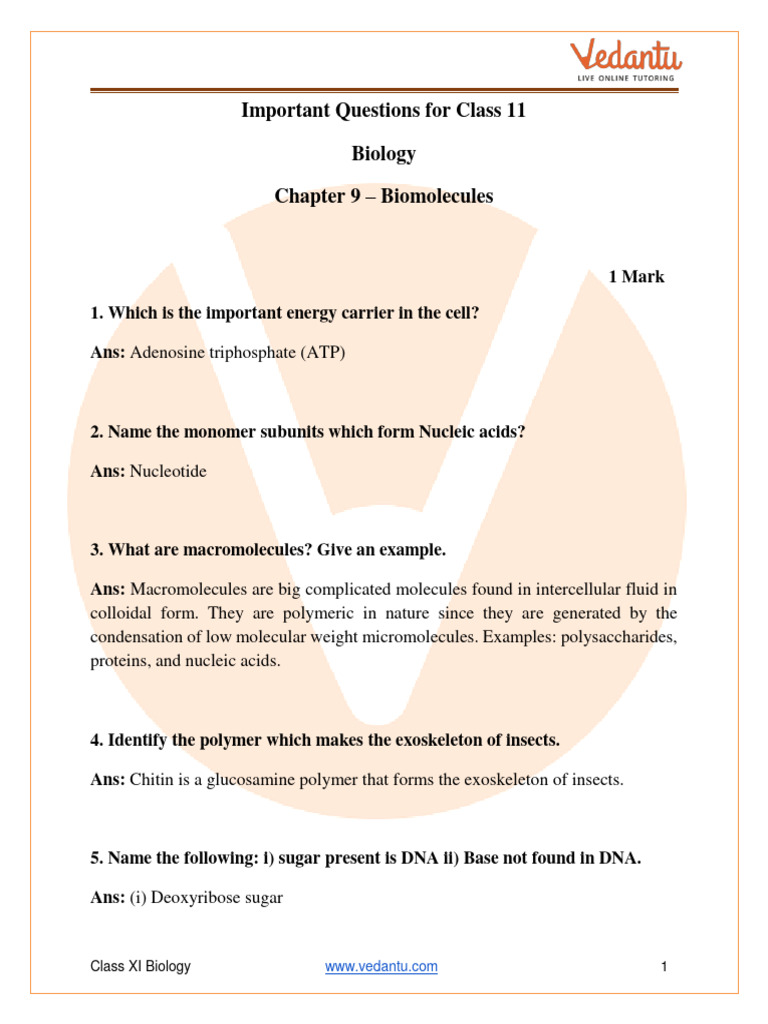 Class 11 Biomolecules Important Q&A | PDF | Metabolism | Enzyme