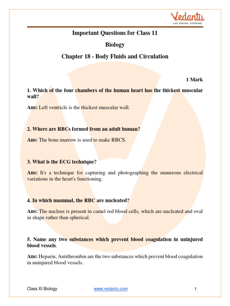 Class 11 Biology: Key Questions | PDF | Lymph | Heart