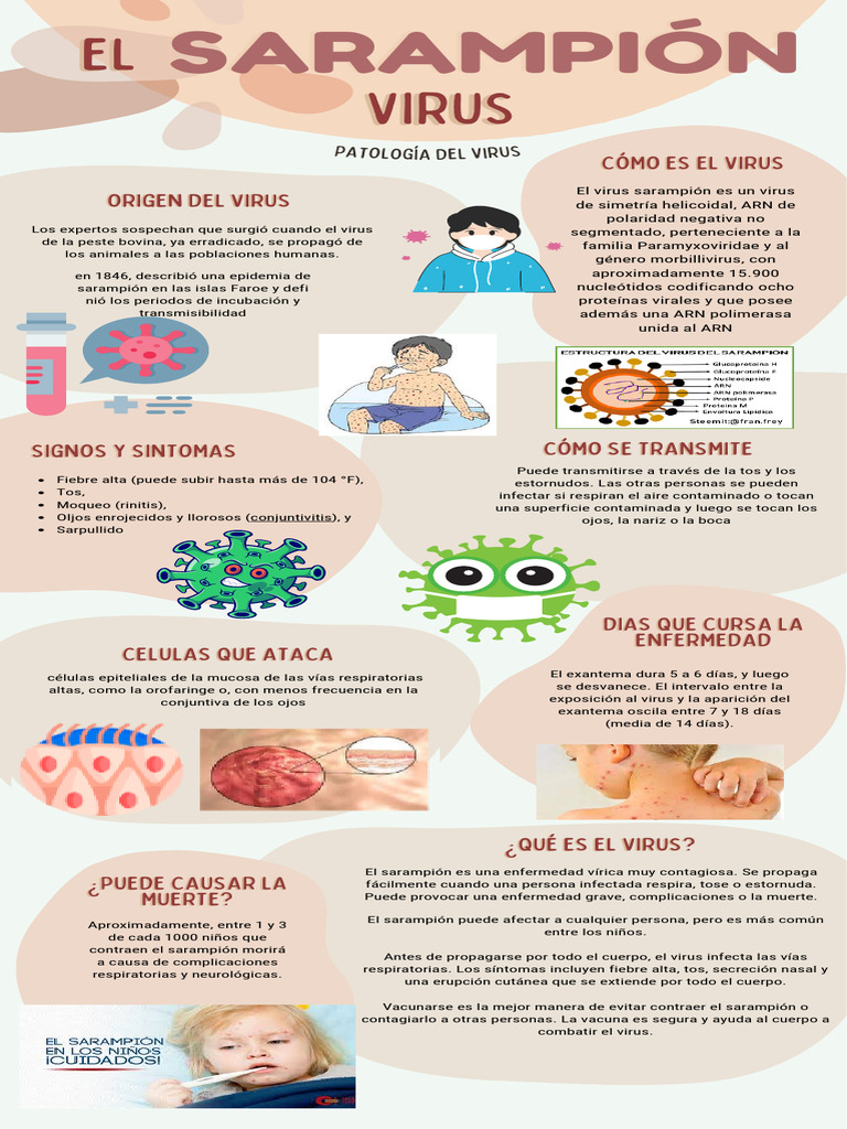 Sarampión, Liney | PDF