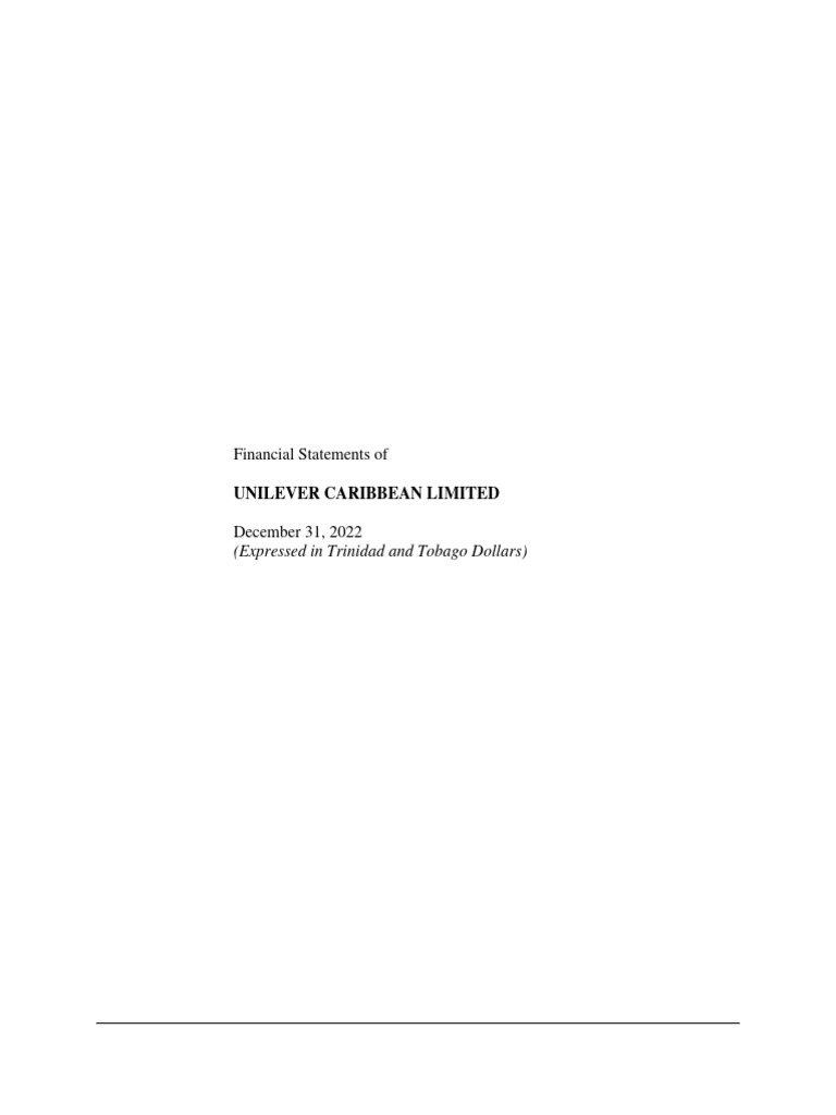 Unilever Financial Statement | PDF | Audit | Going Concern