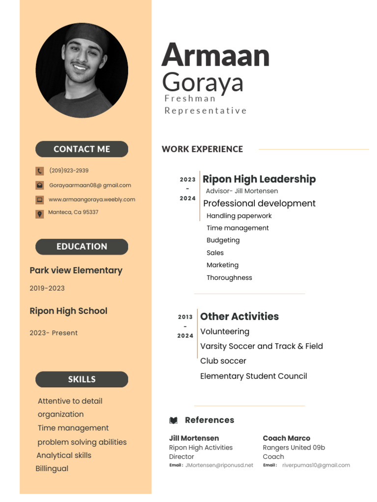 Simple Professional CV Resume | PDF