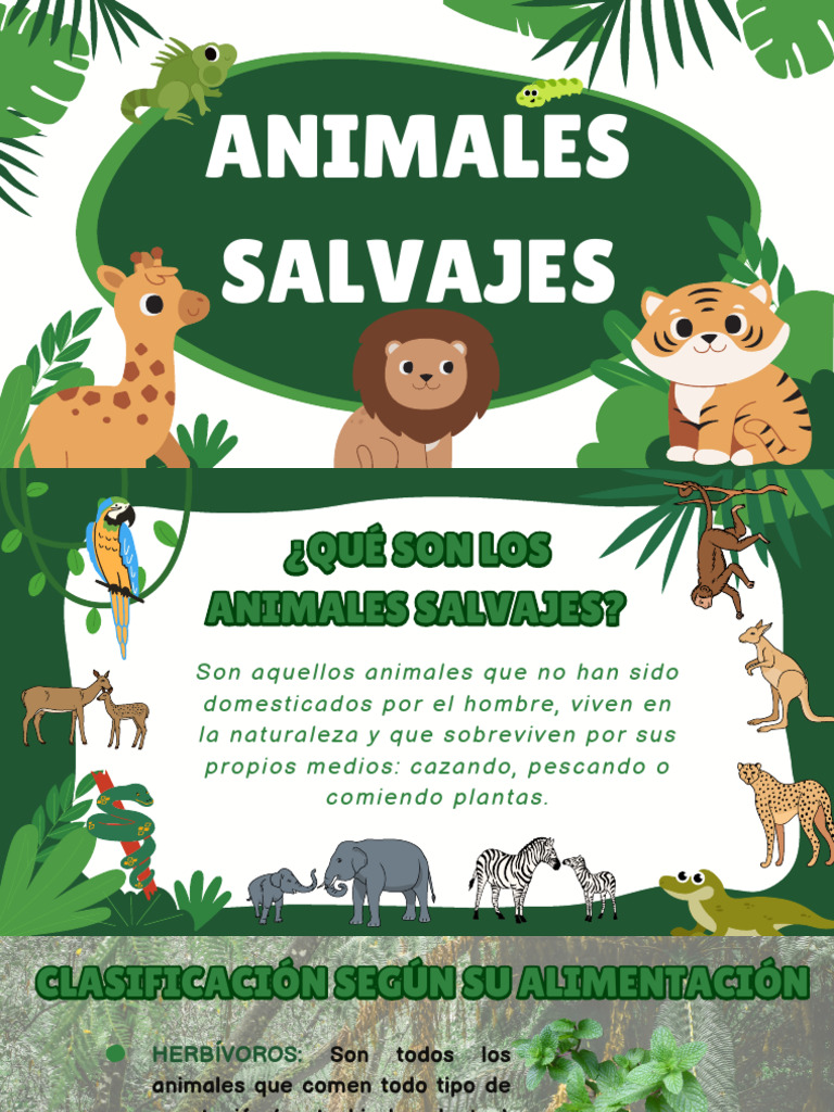 Copia de Animales Salvajes | PDF