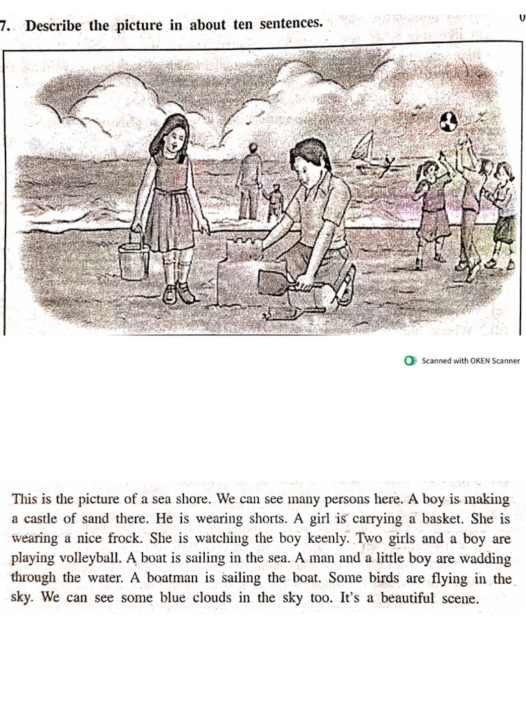 STD - Picture Description | PDF