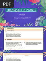Plant Transport Systems Explained | PDF | Leaf | Plant Stem