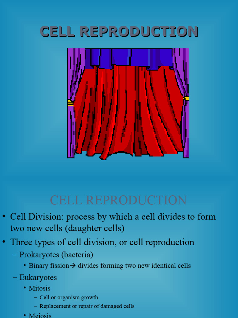 Cell Cycle and Mitosis | PDF | Mitosis | Cell (Biology)
