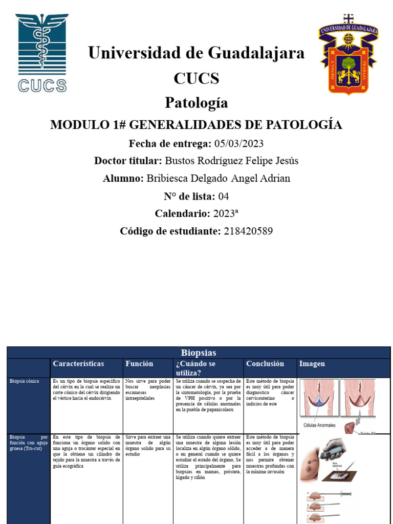 MODULO 1# GENERALIDADES DE PATOLOGÍA_AABD | PDF | Biopsia | Cáncer