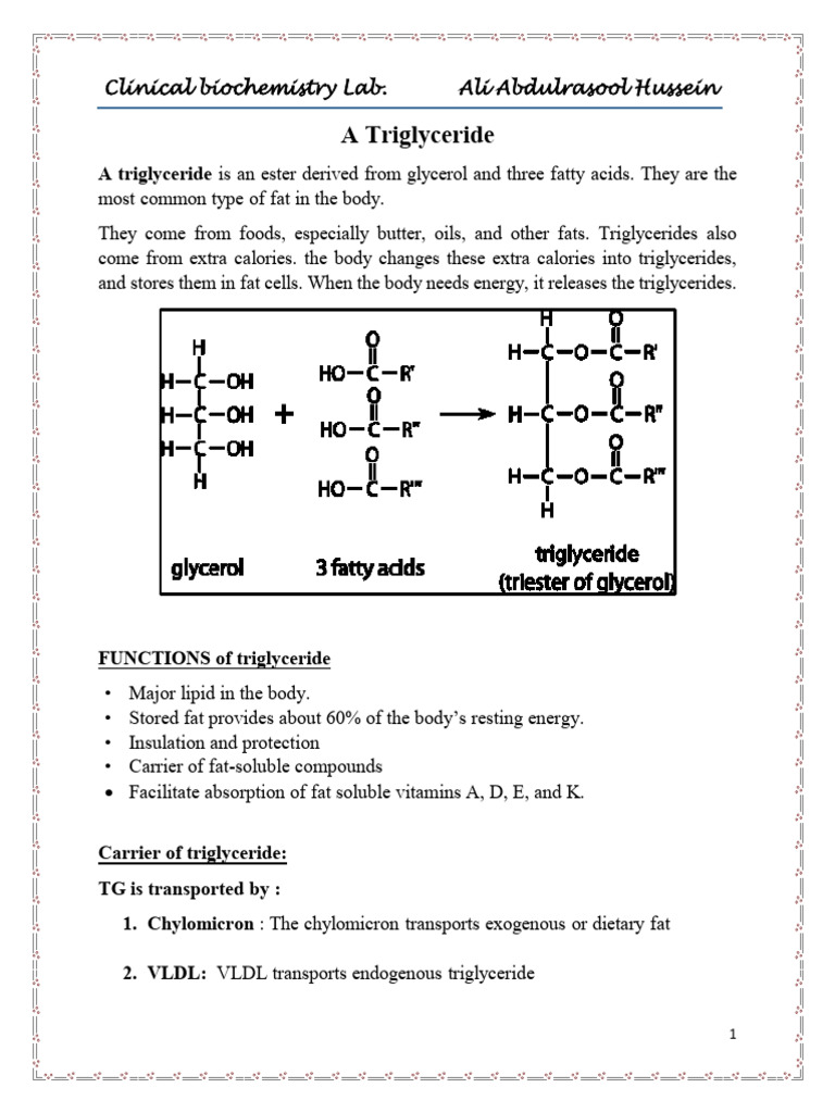 A Triglyceride | PDF