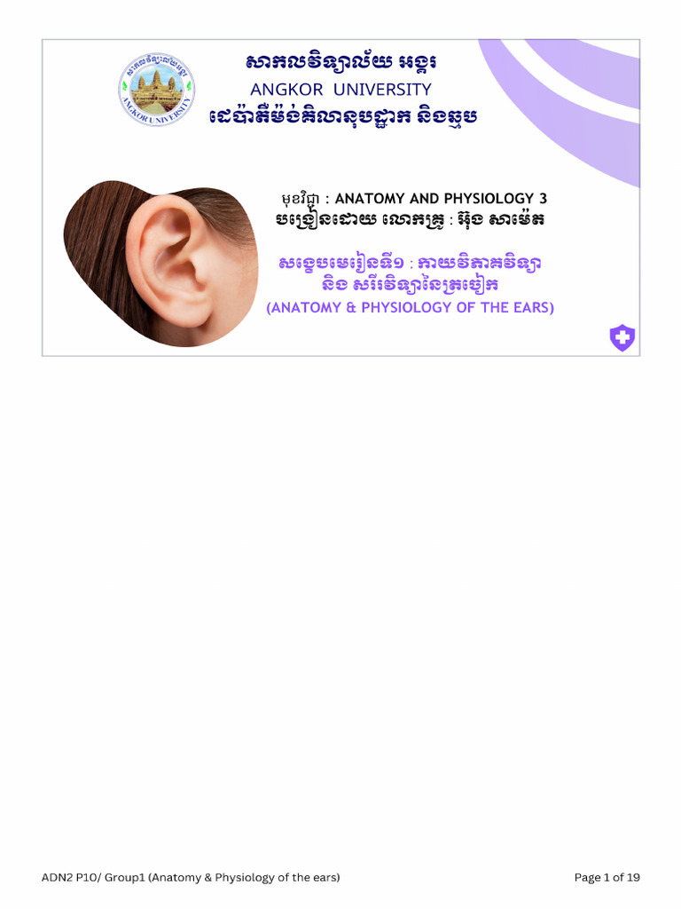 ADN2 P10 Group1 (Anatomy - Physiology of The Ears) | PDF