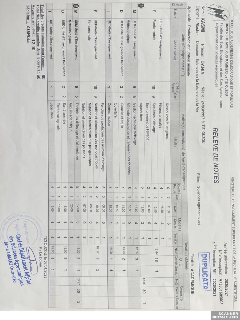 Documents Etudes | PDF