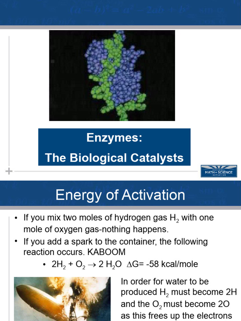 Chem Enzymes | PDF | Enzyme | Chemical Reactions